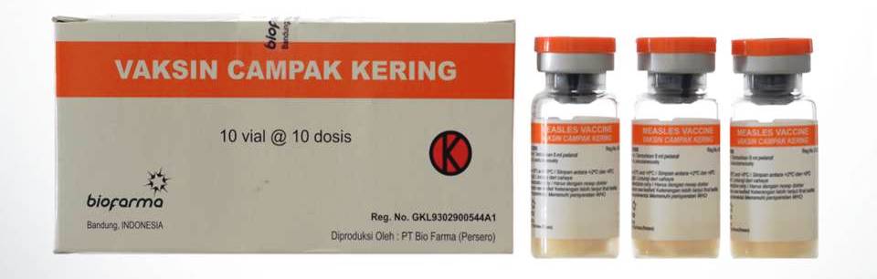 Pentingnya Imunisasi Dasar Anjuran IDAI Untuk Si Kecil! – Mamapapa.id